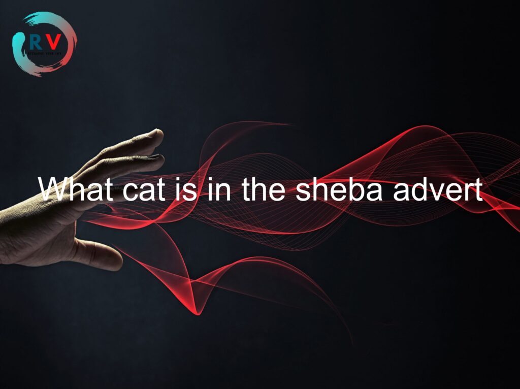 What cat is in the sheba advert – RECHARGUE YOUR LIFE