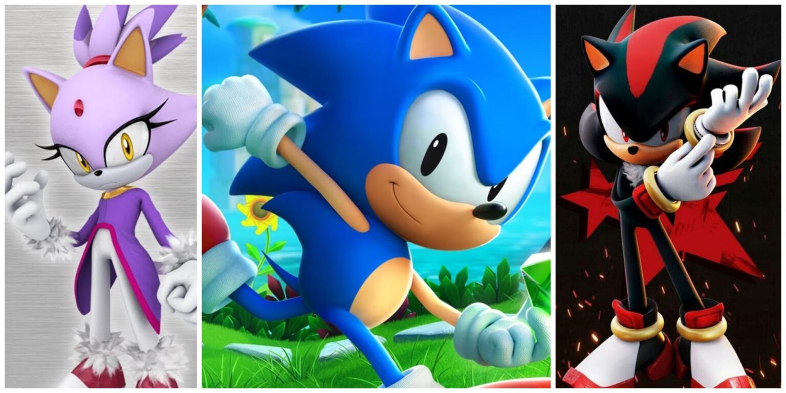 Sonic The Hedgehog: Meet the Fastest Characters in the Game – RECHARGUE ...